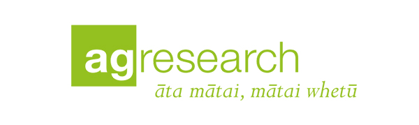 ビジネス向け情報